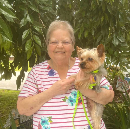 Tucker - Small Breed Rescue of East Tennessee